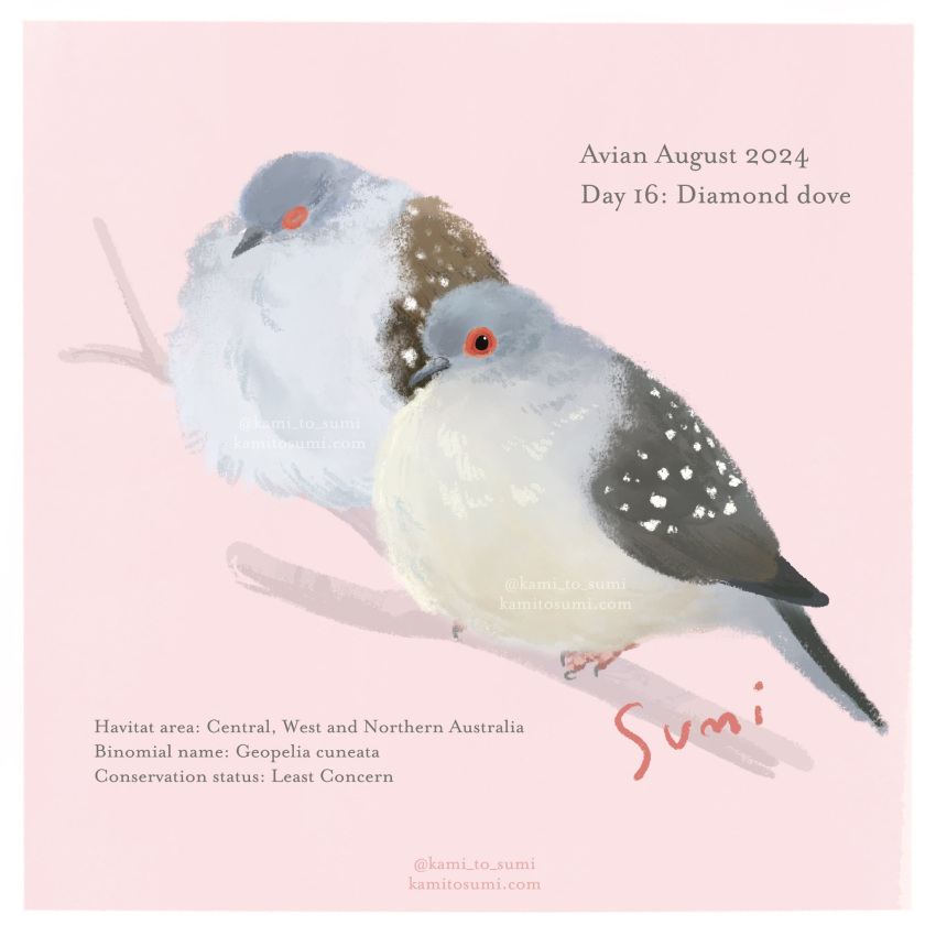 Safebooru - animal animal focus artist name bird border branch diamond dove english text highres ...