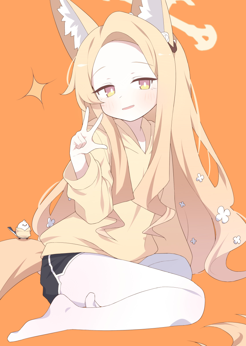 Safebooru - 1girl absurdres alternate costume animal ears black shorts blonde hair blue archive ...