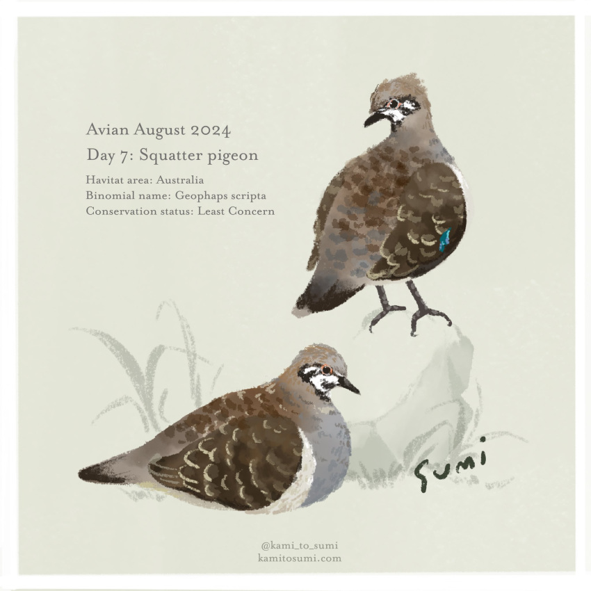Safebooru - animal animal focus artist name bird border english text grass highres kami to sumi ...