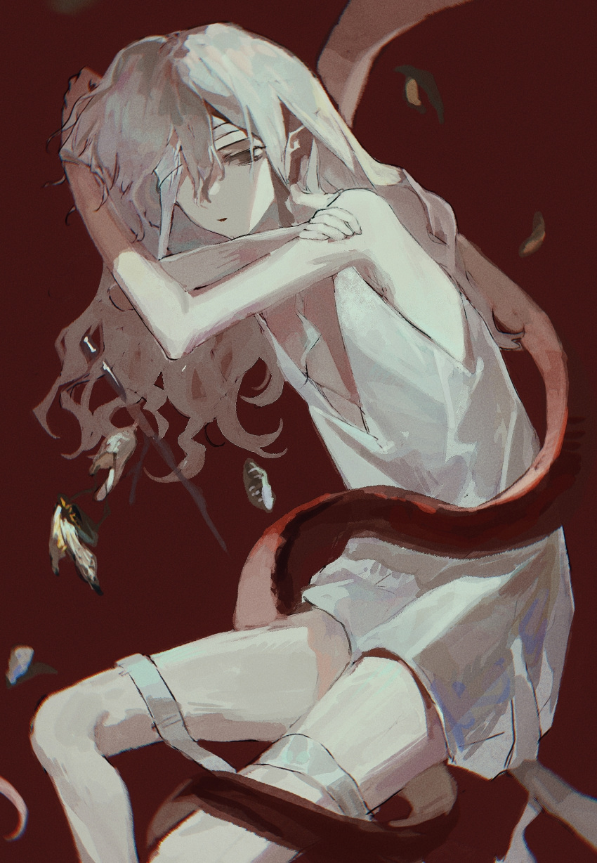 Safebooru - 1boy bandage over one eye bandages black eyes dungeon meshi elf grey hair hair ...