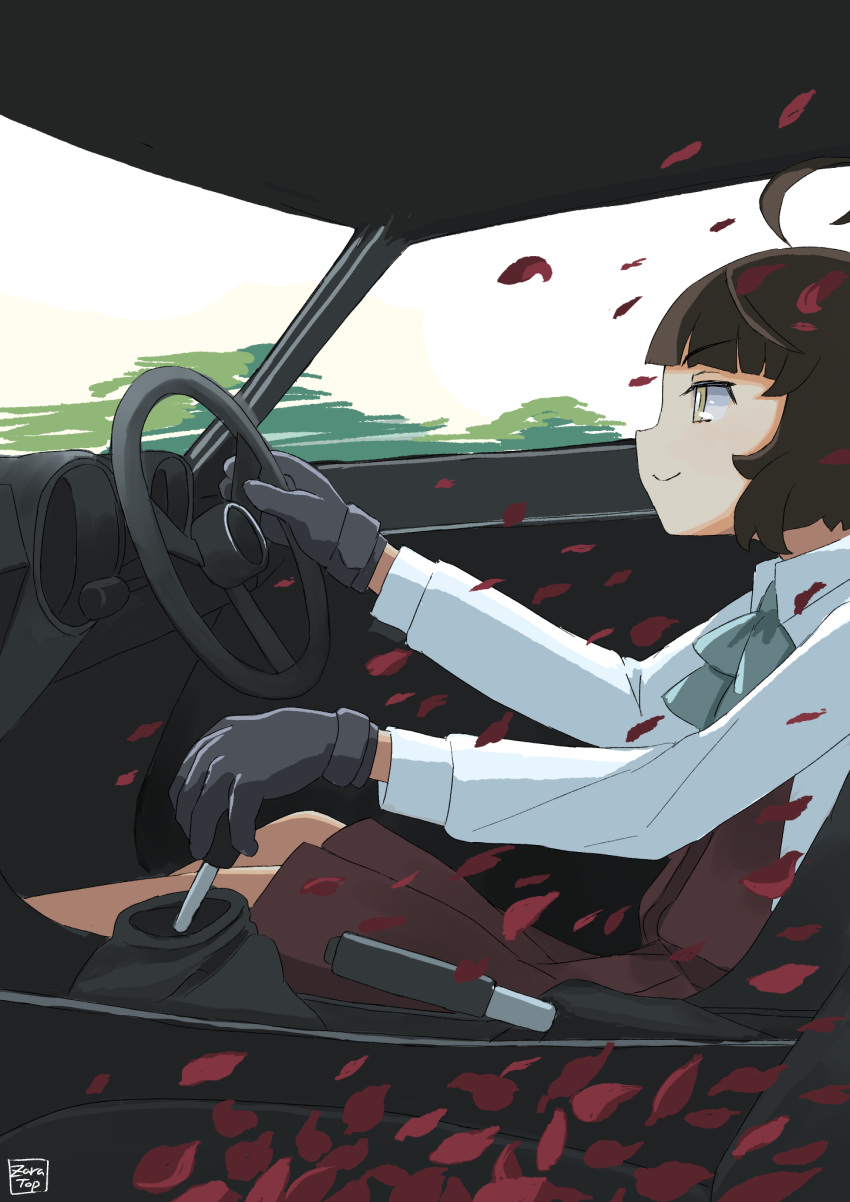 Safebooru - 1girl ahoge black hair brown dress brown eyes car interior ...