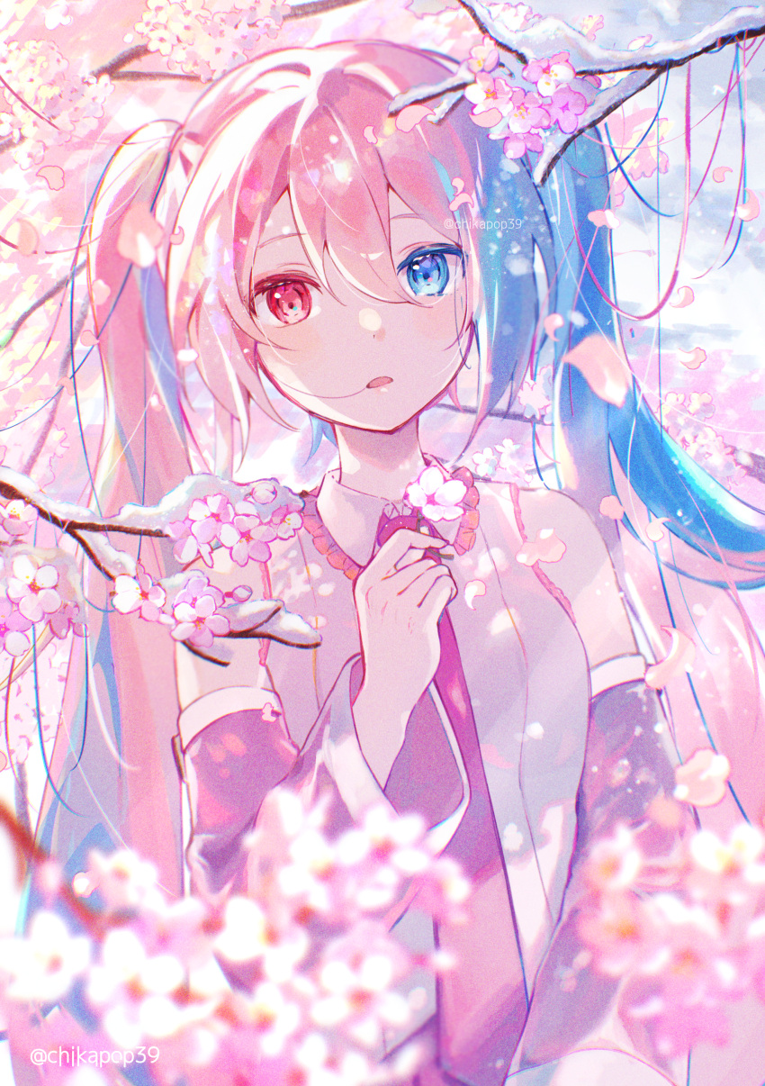 Safebooru - absurdres blue eyes blue hair branch cherry blossoms ...