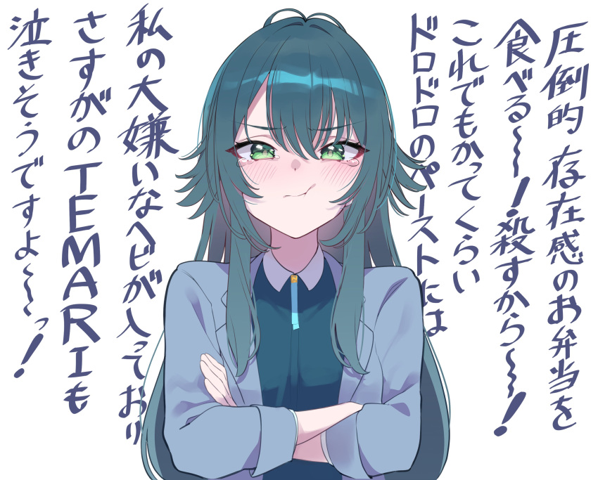 Safebooru - 1girl absurdres blue hair blush closed mouth commentary ...