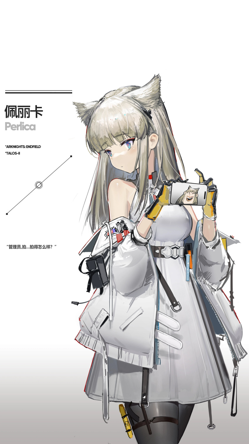 Safebooru - 1girl absurdres animal ears arknights arknights: endfield ...