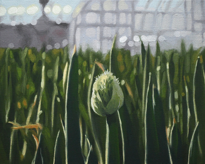 Safebooru - absurdres bud day grass greenhouse highres naoya ohtani no ...