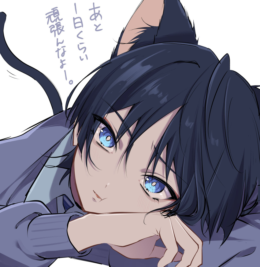 Safebooru - 1boy 5656hayururi absurdres alternate costume animal ears black hair blue eyes cat ...