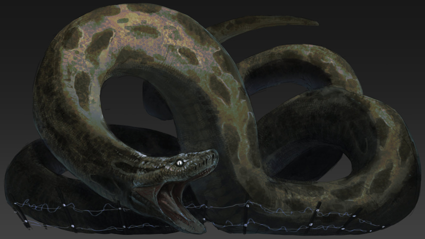 Safebooru - 202vincent absurdres animal animal focus fence from side ...