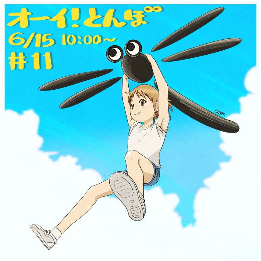 Safebooru - 1girl absurdres blue sky brown hair bug dragonfly episode ...