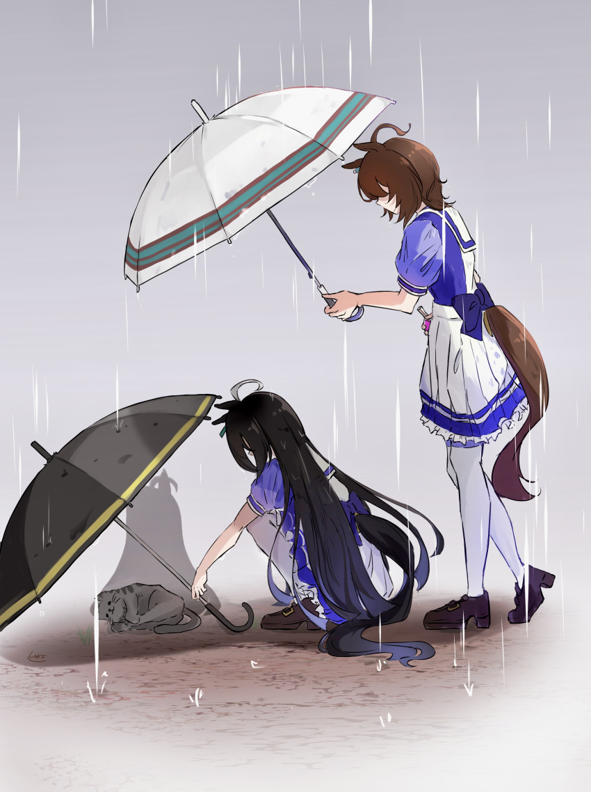 Safebooru - 2girls absurdres agnes tachyon (umamusume) ahoge animal ears black hair black ...