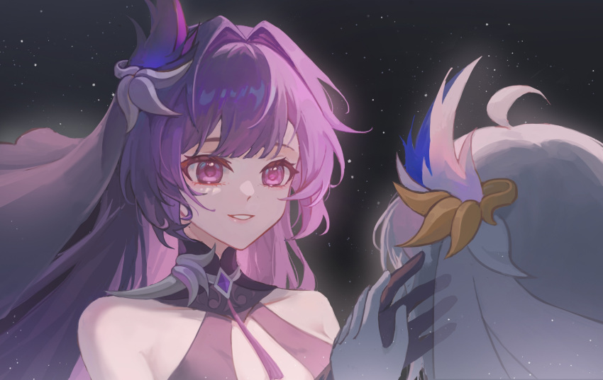 Safebooru 2girls Ahoge Bare Shoulders Benghuai Xueyuan Black Collar 4436