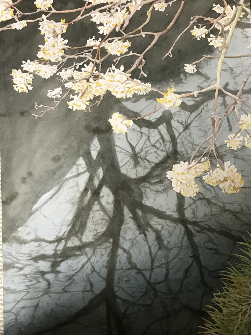 Safebooru - bare tree branch cherry blossoms dead plants ...