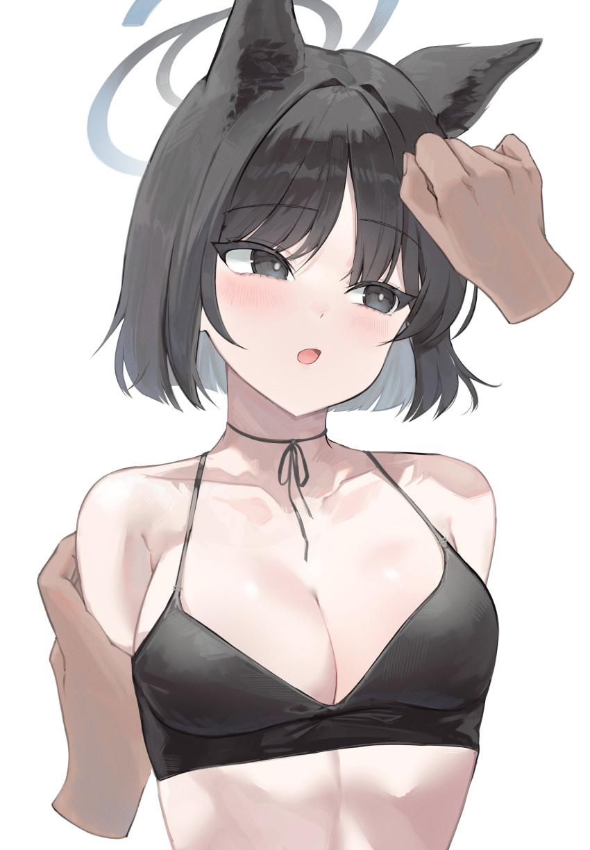 Safebooru - absurdres animal ears arm grab black eyes black hair blue archive cat cat ears halo ...