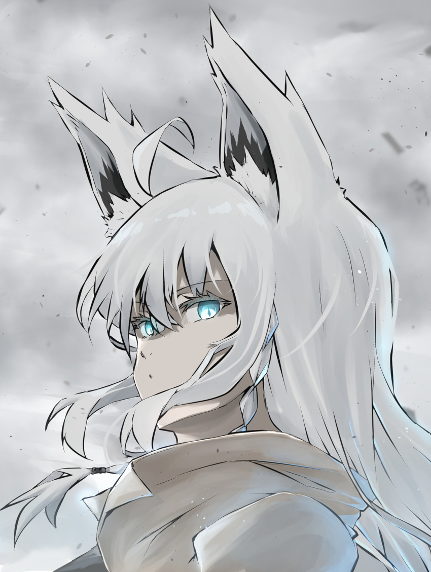 Safebooru - 1girl absurdres ahoge animal ear fluff animal ears aqua eyes expressionless fox ears ...