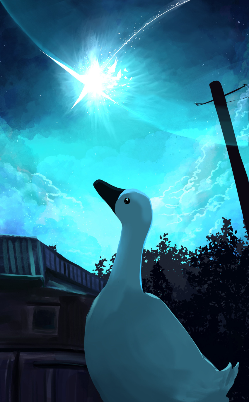 Safebooru - absurdres animal focus bird clouds cloudy sky comet cowboy ...