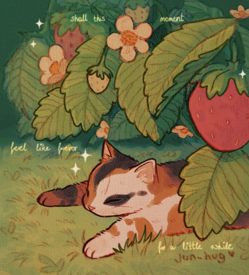 Safebooru - animal animal focus artist name cat closed eyes closed ...