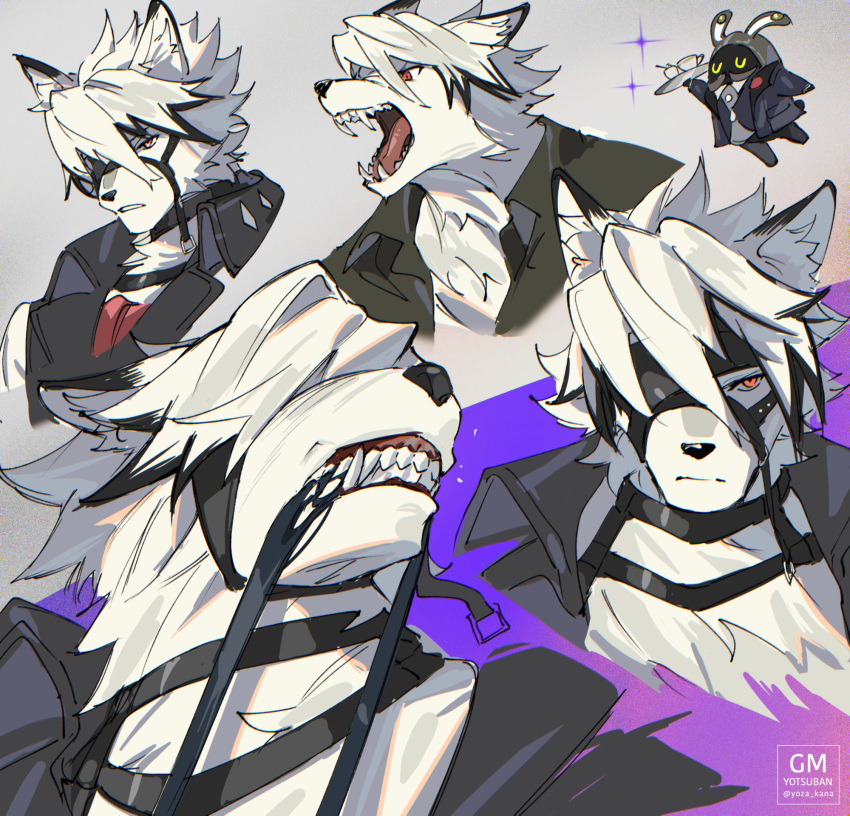 Safebooru - 1boy animal ear fluff bangboo (zenless zone zero) body fur ...