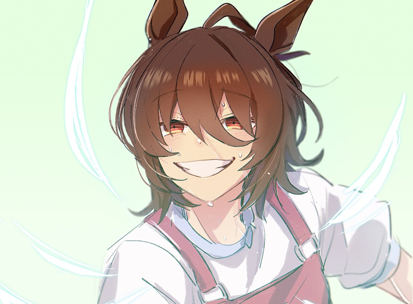 Safebooru - 1girl agnes tachyon (umamusume) ahoge animal ears brown hair grin hair between eyes ...