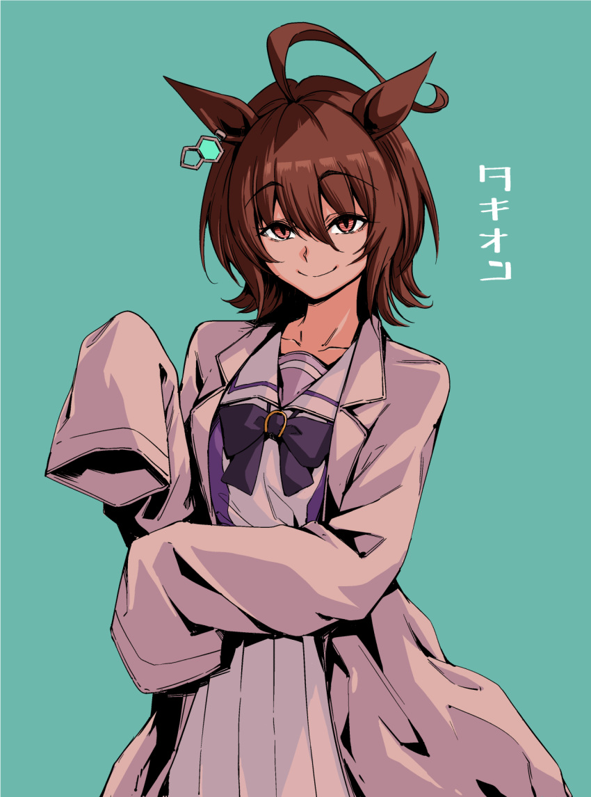 Safebooru - 1girl agnes tachyon (umamusume) ahoge animal ears aqua background blue background ...