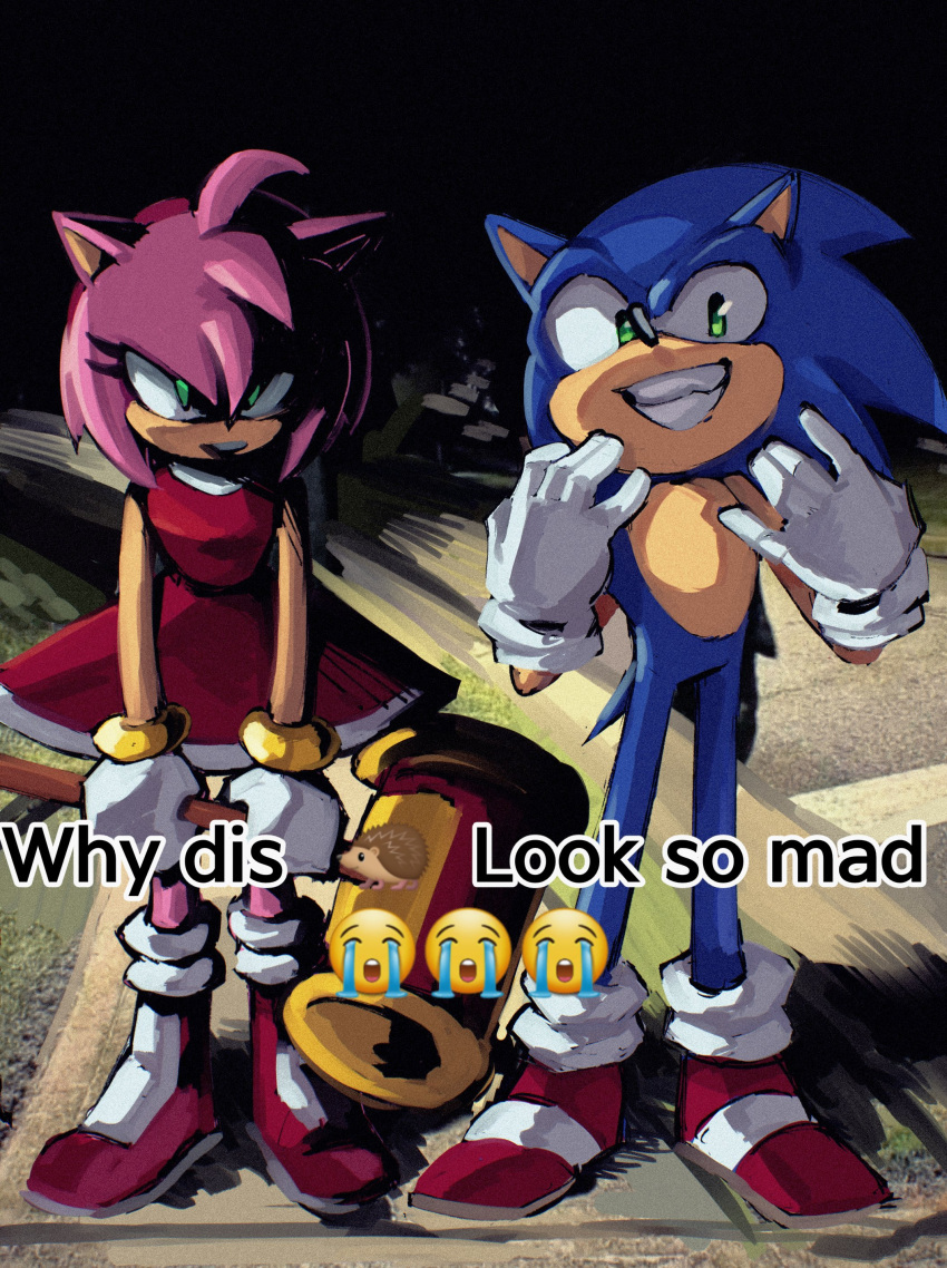 Safebooru - 1boy 1girl absurdres amy rose commentary copium v ...