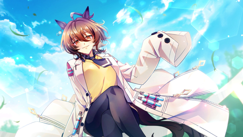 Safebooru - 1girl agnes tachyon (umamusume) ahoge animal ears black pantyhose brown eyes brown ...