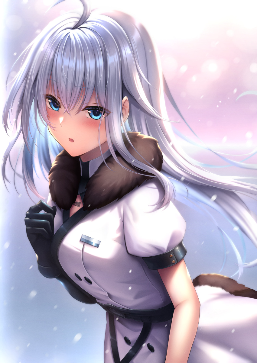 Safebooru - 1girl absurdres ahoge black gloves blue eyes blush coat ...