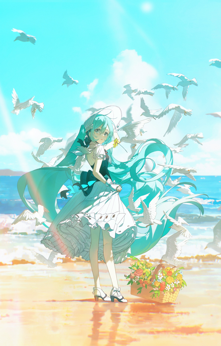 Safebooru - 1girl absurdres aqua eyes aqua hair beach bird black dress blue sky day dress flower ...