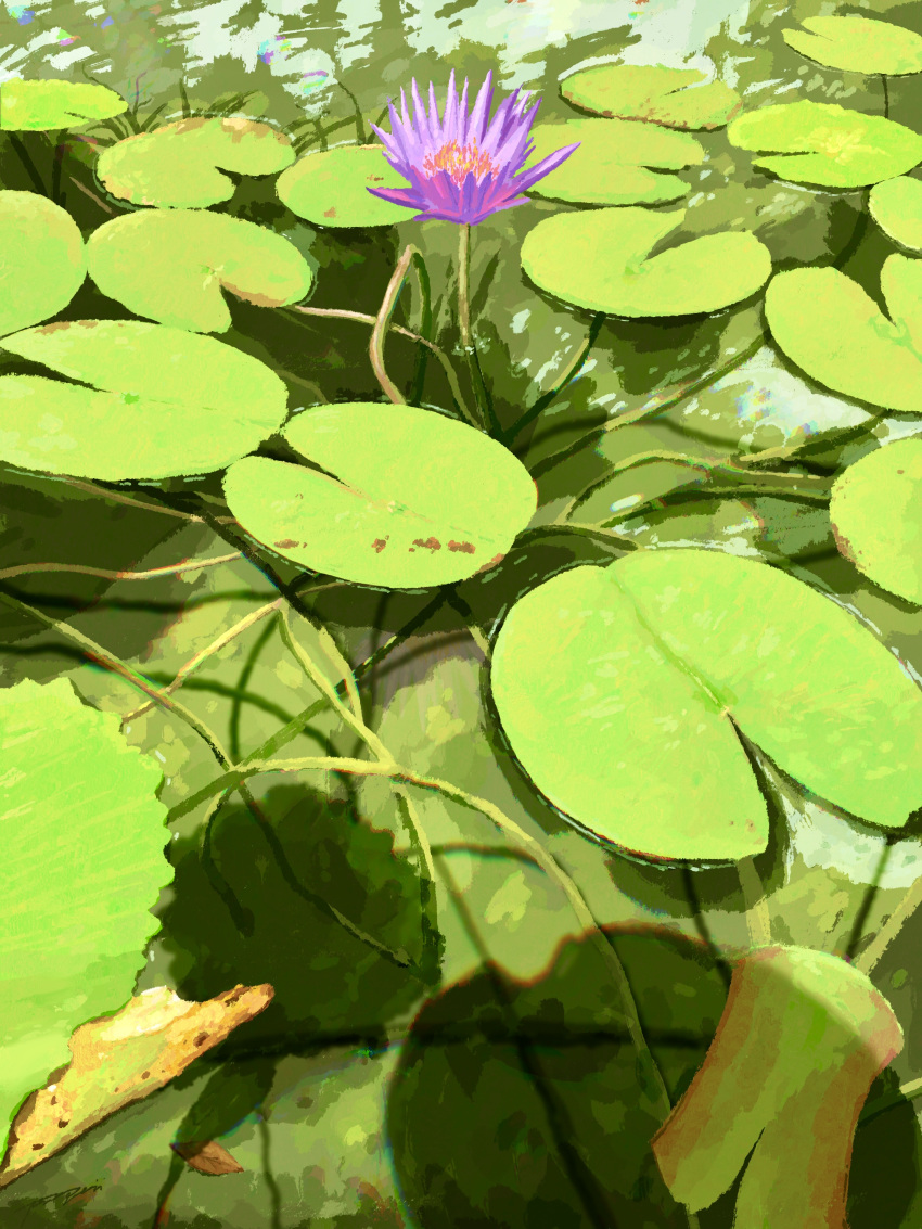 Safebooru - absurdres day fangpeii flower highres lily pad nature no ...