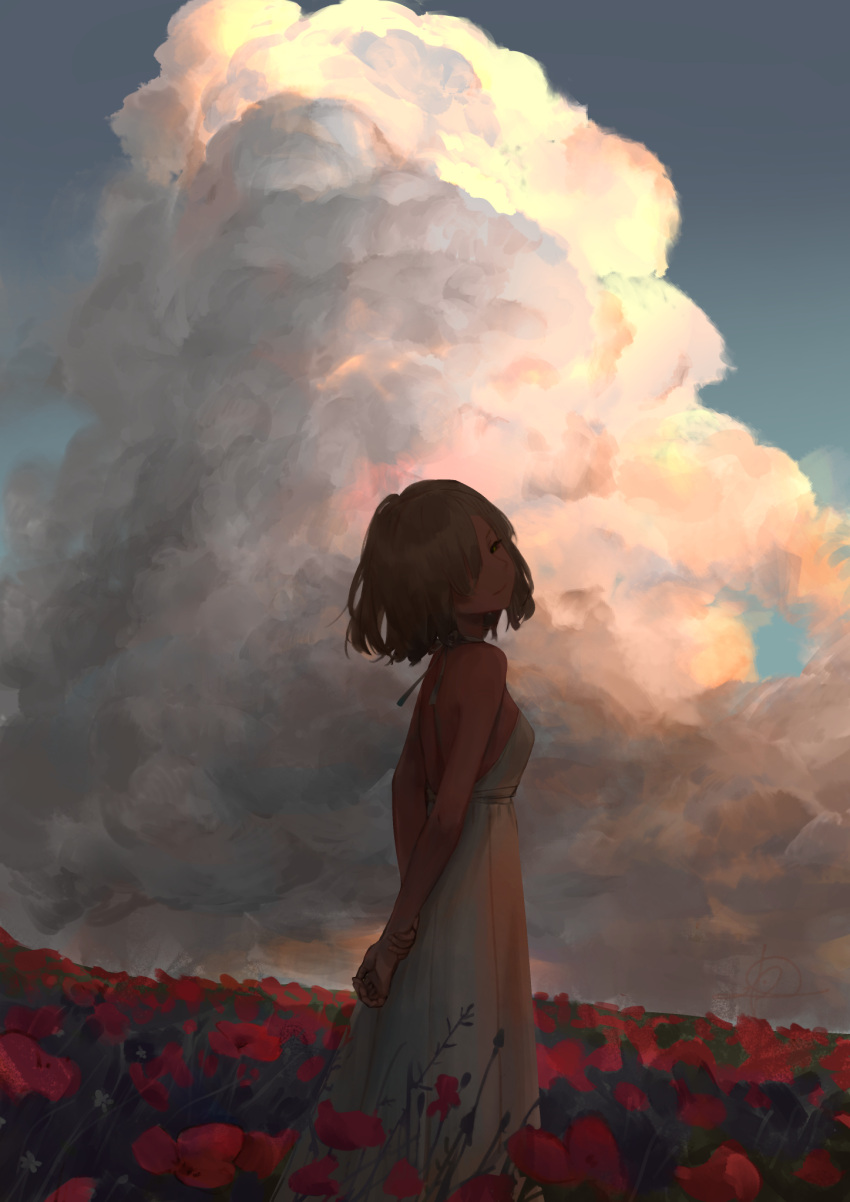 Safebooru - 1girl arms behind back blue sky breasts closed mouth clouds cumulonimbus cloud day ...