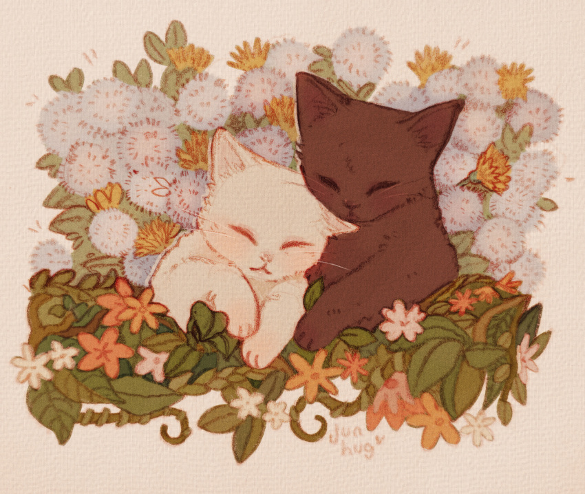 Safebooru - animal focus artist name black cat black fur cat closed ...