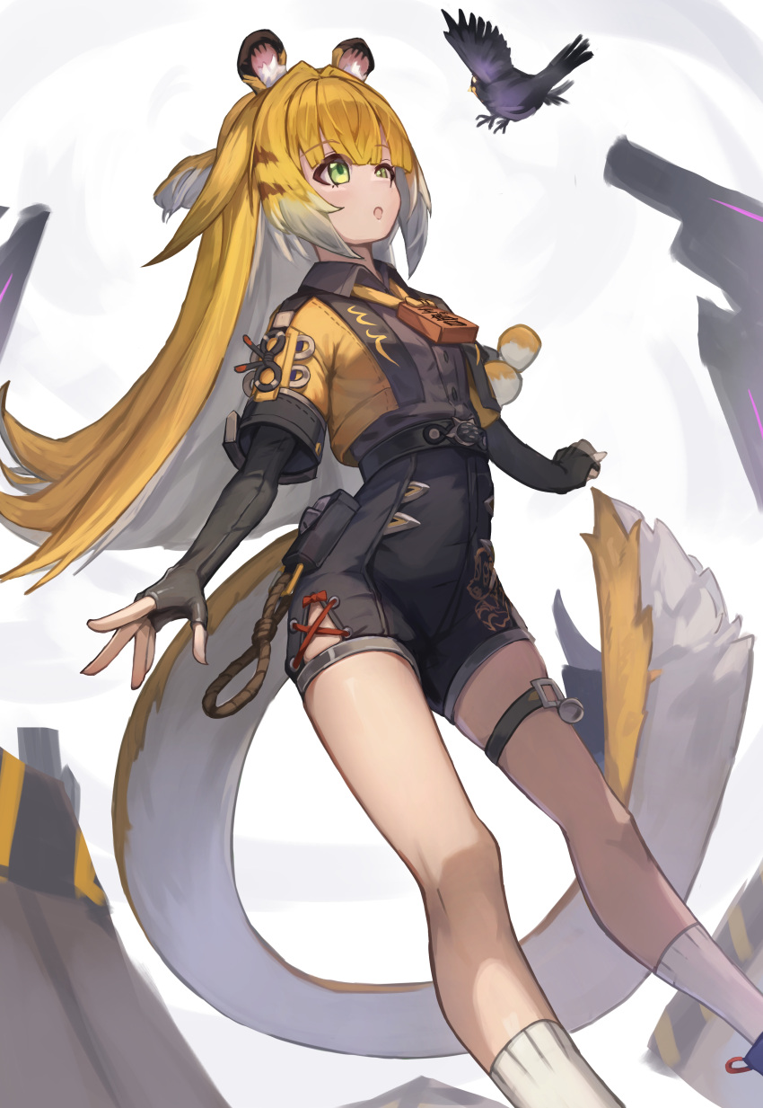Safebooru - 1girl absurdres animal ear fluff animal ears bird blonde hair green eyes high-waist ...