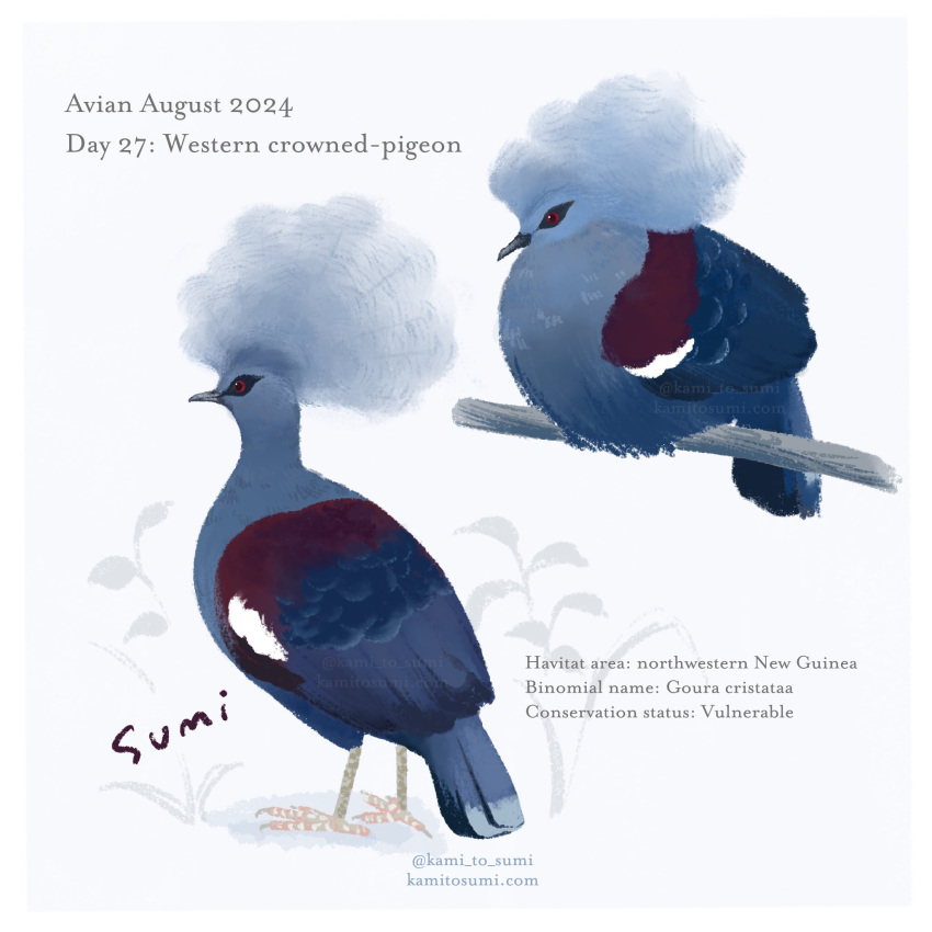 Safebooru - animal animal focus animal name artist name bird branch english text highres kami to ...