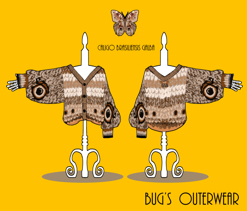Safebooru - absurdres brown sweater bug commentary request highres moth ...