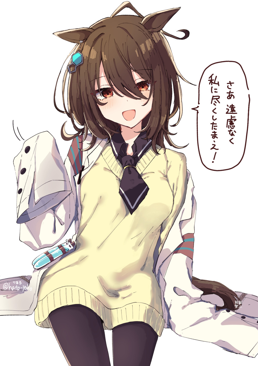 Safebooru - 1girl absurdres agnes tachyon (umamusume) ahoge akarimaru animal ears black necktie ...