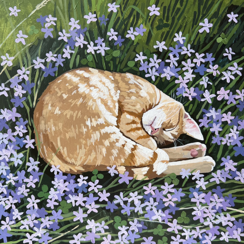 Safebooru - absurdres animal animal focus cat day english commentary ...