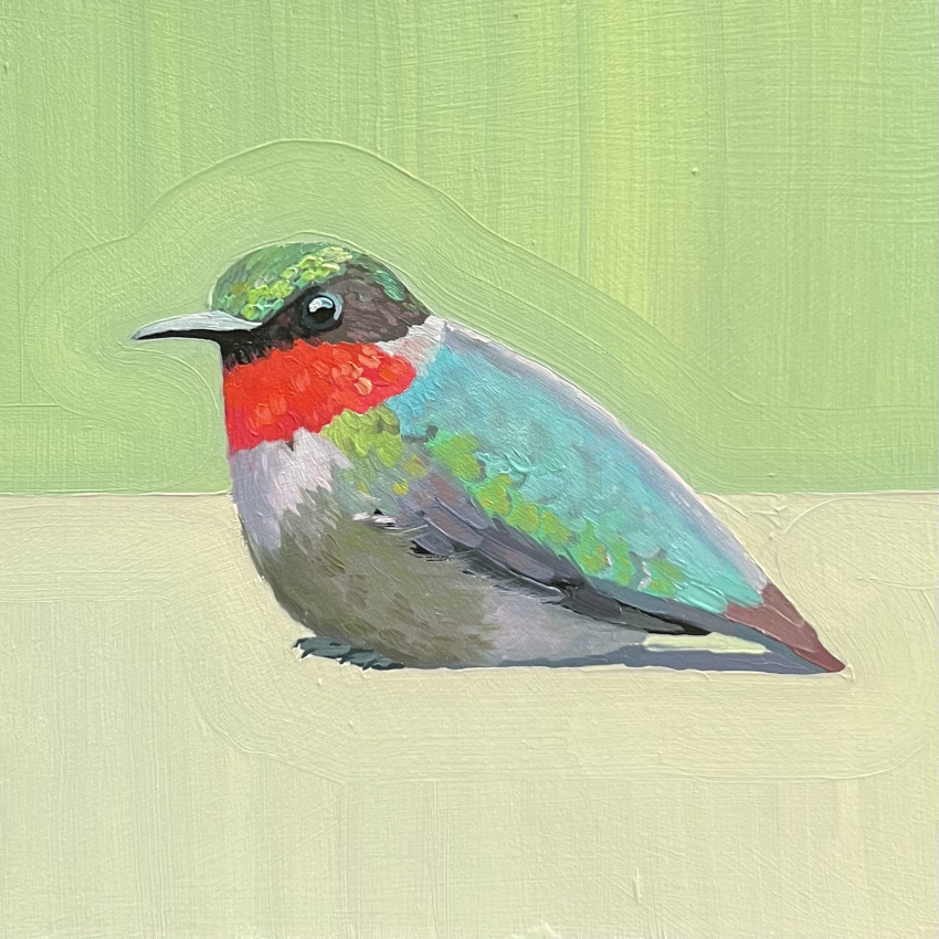 Safebooru - animal animal focus bird english commentary green background highres hummingbird ...