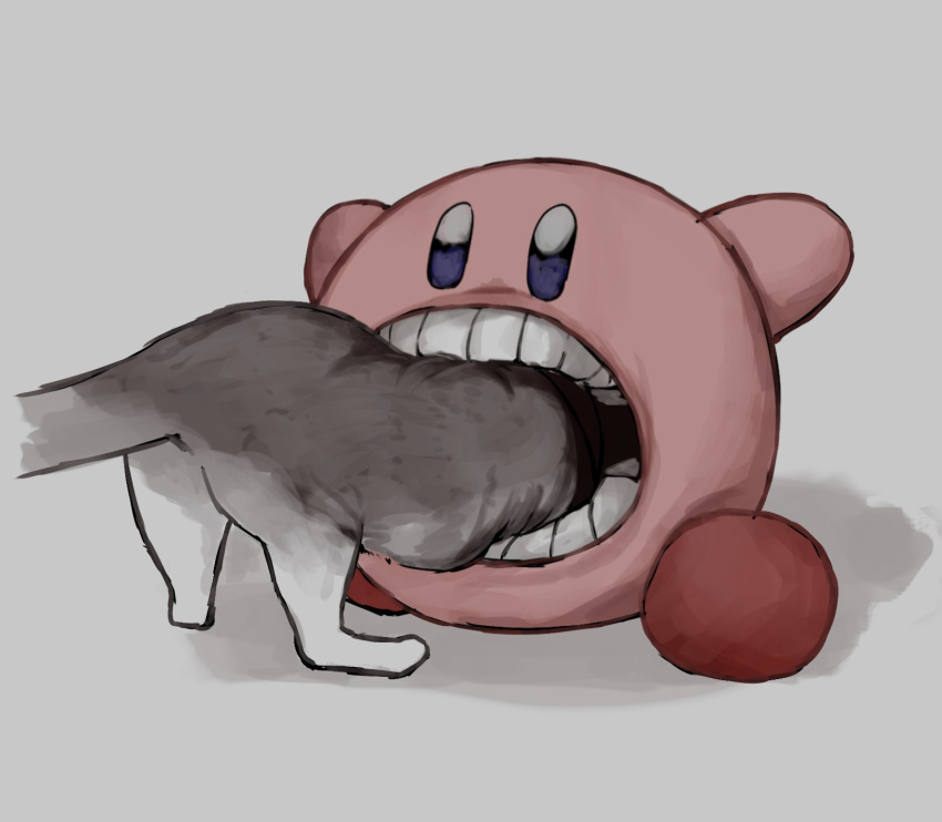 Safebooru - animal focus biting blue eyes cat commentary request grey ...