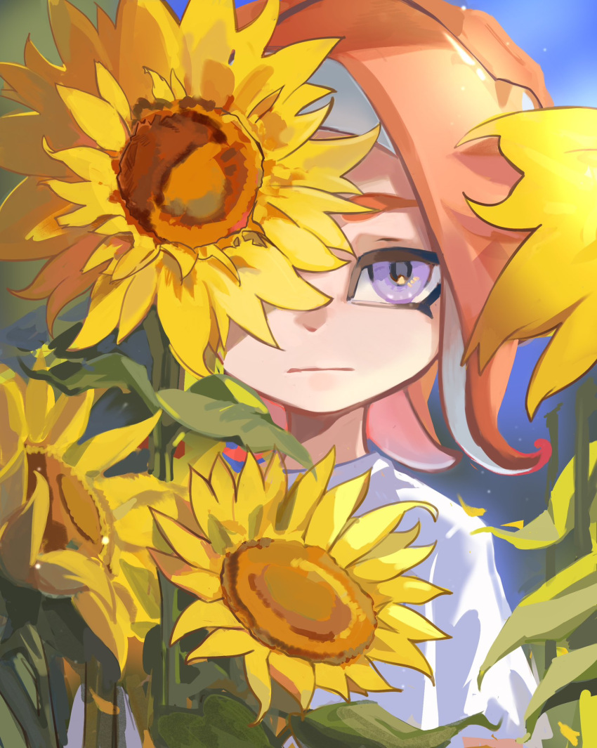 Safebooru - 1girl :| closed mouth feiguasang flower highres light ...