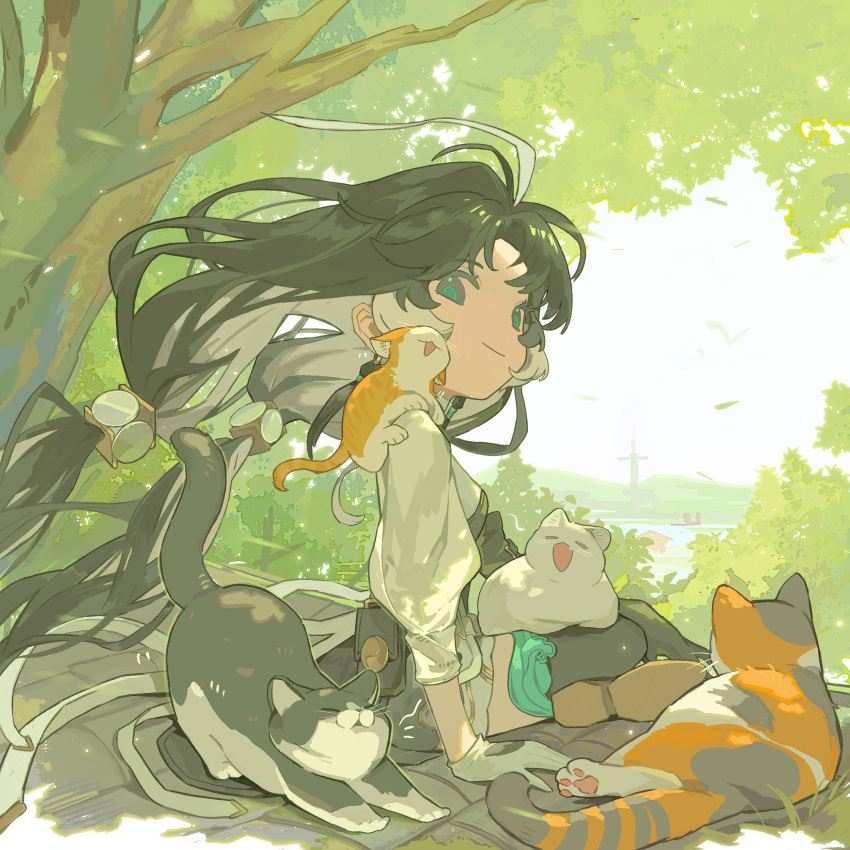 Safebooru - 1girl absurdres animal on shoulder black hair breasts cat cat on shoulder closed ...