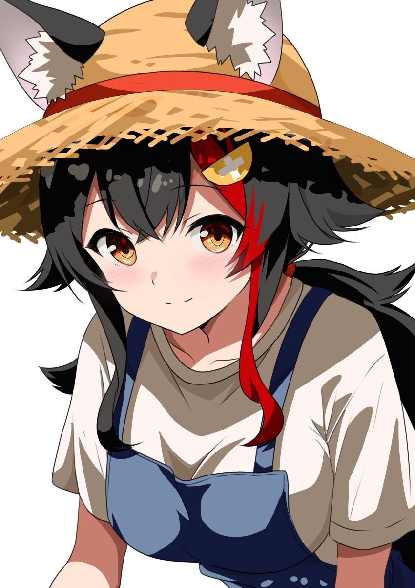 Safebooru - 1girl absurdres alternate costume animal ear fluff animal ears black hair blue ...