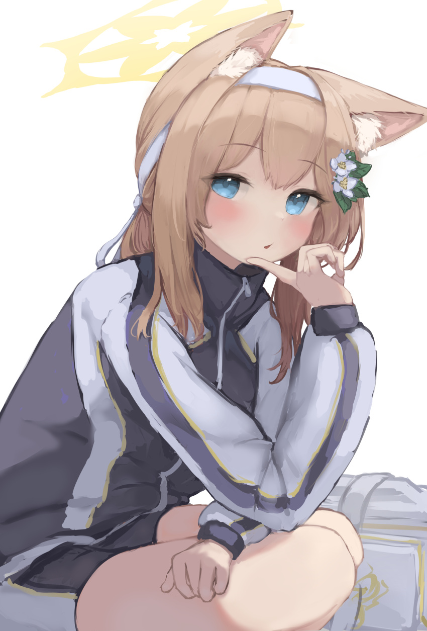 Safebooru - 1girl absurdres animal ear fluff animal ears blue archive ...