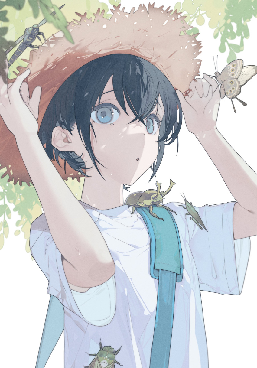 Safebooru - 1girl absurdres beetle black hair bug butterfly butterfly on hand commentary request ...