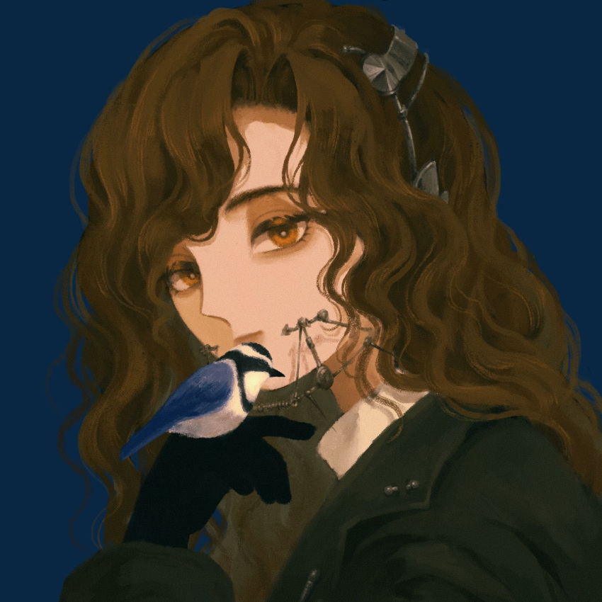Safebooru - 1girl bird bird on hand black coat black gloves blue background braces brown eyes ...