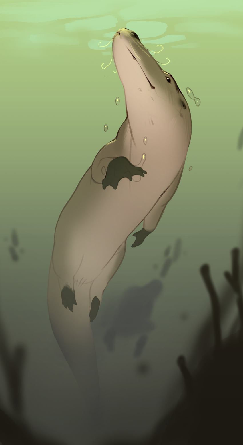 Safebooru - absurdres air bubble ambulocetus (animal) animal focus bubble combos & doodles ...