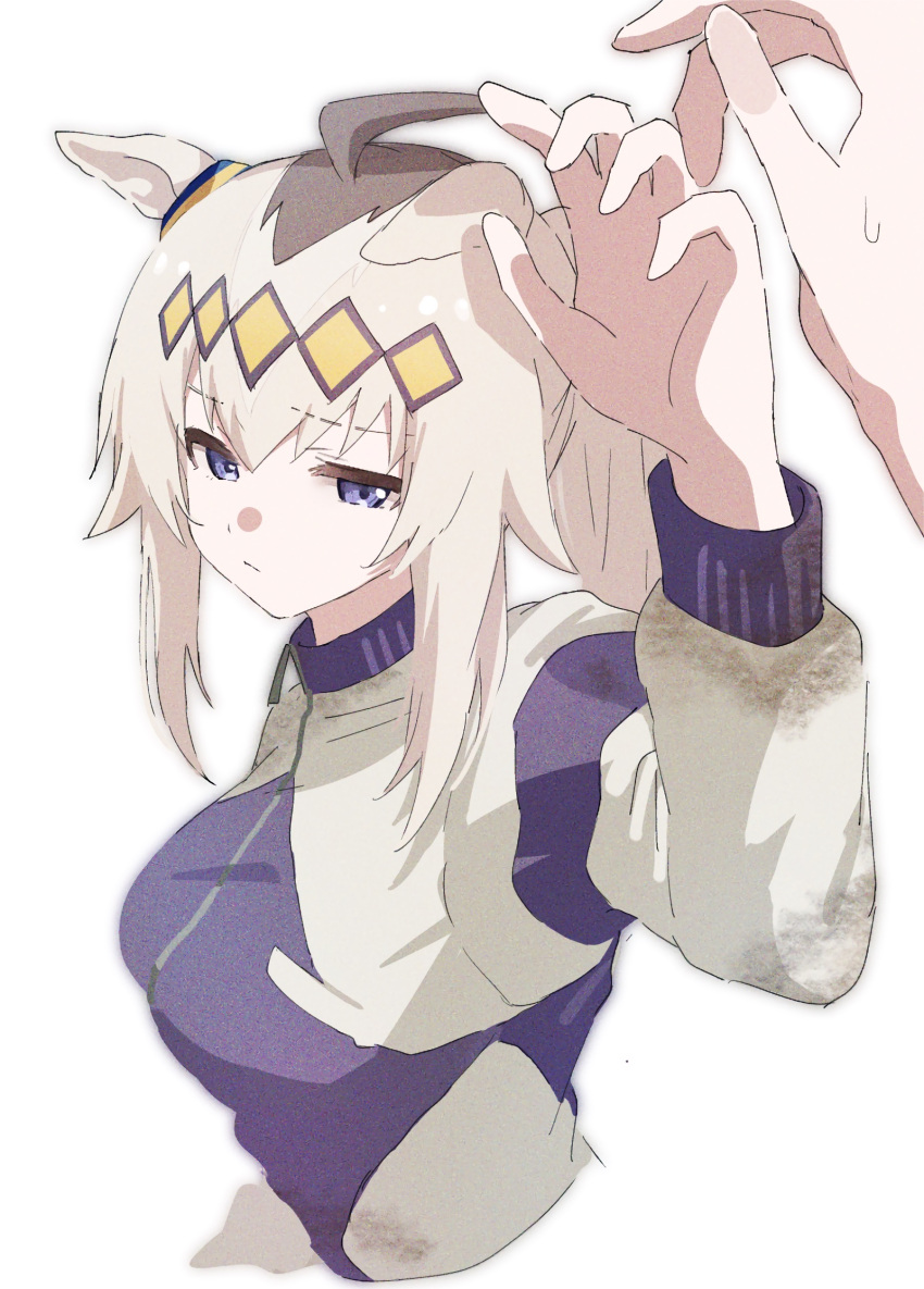 Safebooru - 1girl ahoge animal ears blue eyes blue jacket closed mouth commentary dirty dirty ...