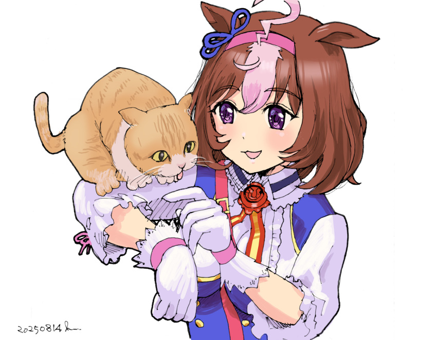 Safebooru - ahoge animal ears blue dress blush breasts brown hair cat ...