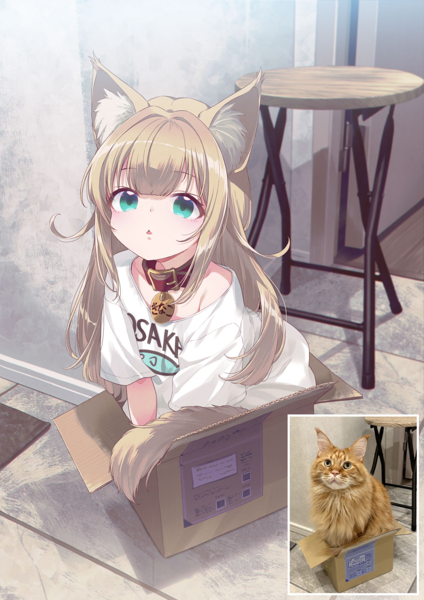 Safebooru - 1girl 40hara animal ears aqua eyes box brown hair cardboard ...