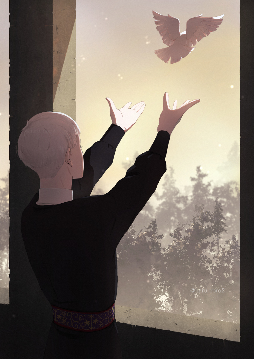 Safebooru - 1boy absurdres bird commentary request dove from behind ...
