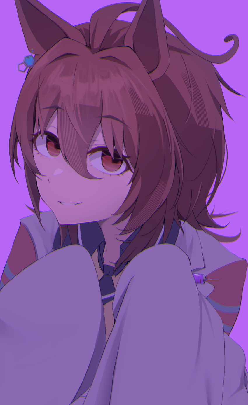 Safebooru - 1girl absurdres agnes tachyon (umamusume) ahoge animal ears ...