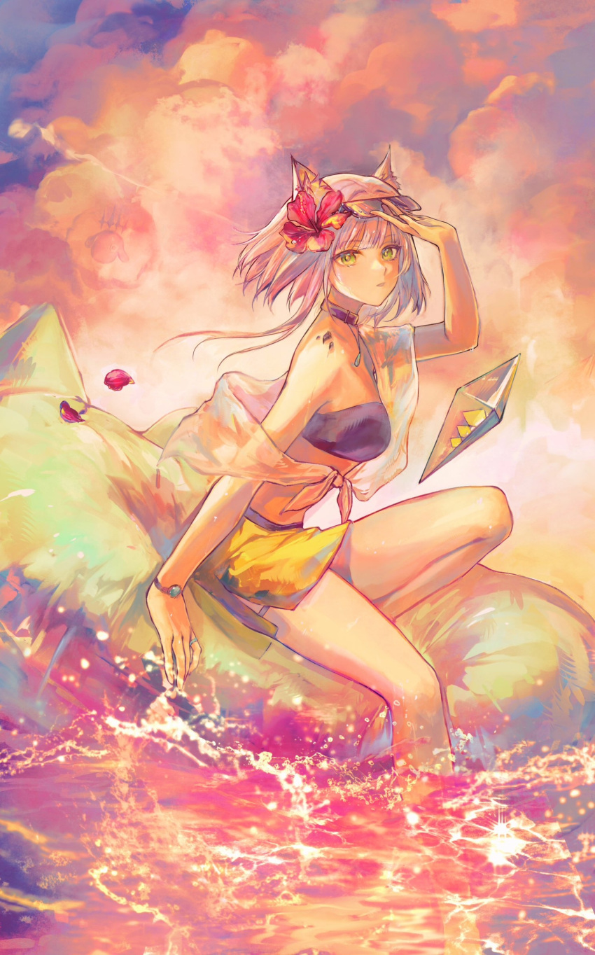 Safebooru - 1girl animal ear fluff animal ears arknights cat ears ...