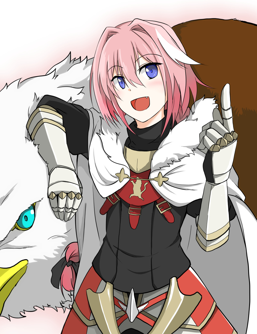 Safebooru - 1boy absurdres animal astolfo (fate) bird blue eyes braid ...
